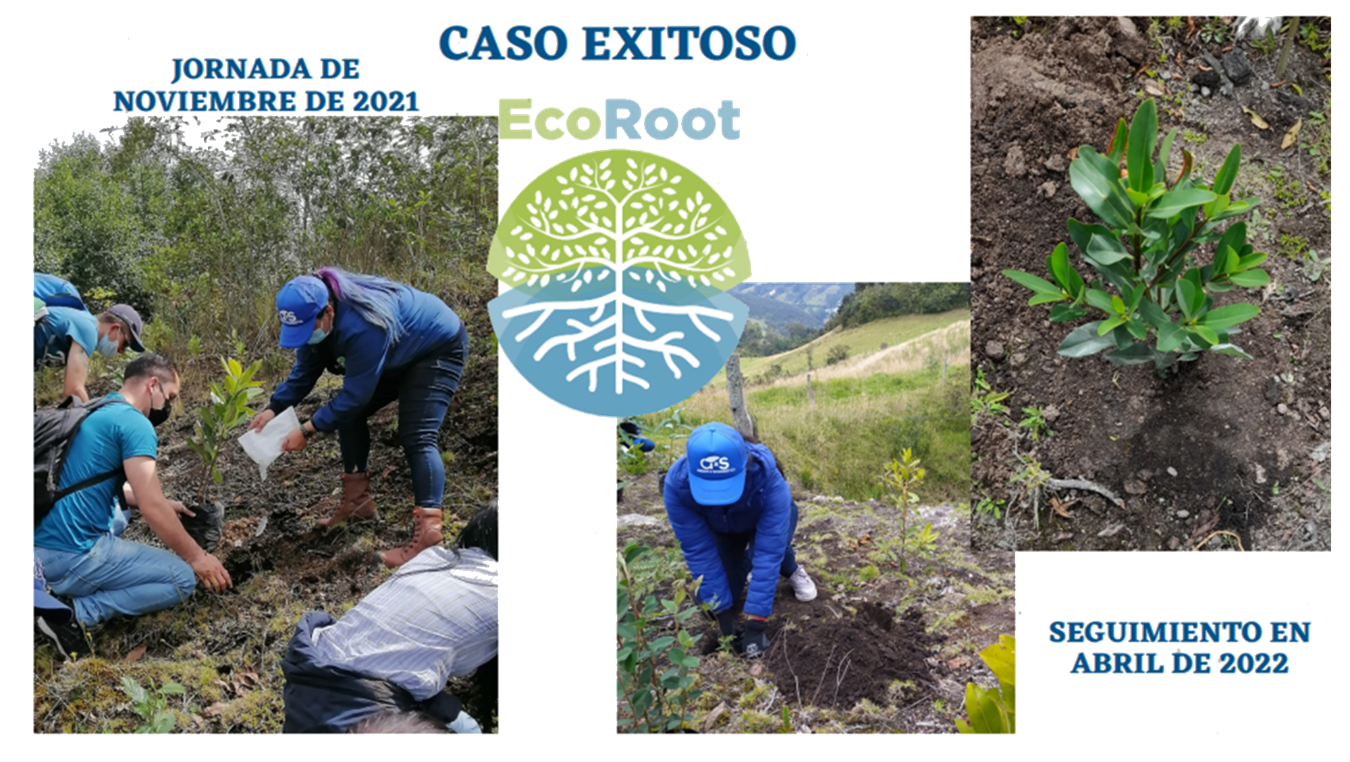 BOLETÍN AMBIENTAL – ECOROOT: Gel para sembrar agua – Ambiente y Soluciones